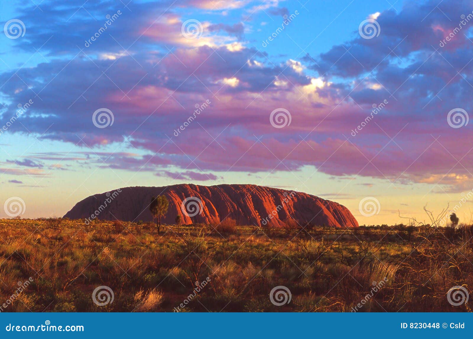 Uluru at sunset editorial stock photo. Image of landscape - 8230448