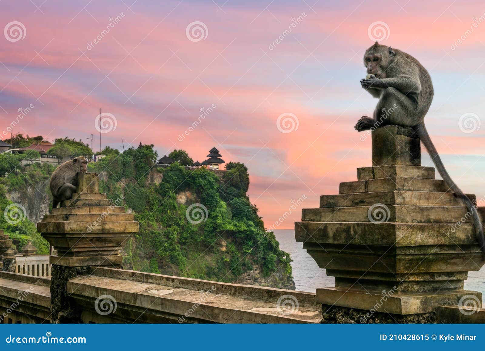 Uluwatu Monkey Perched on the Ledge Overlooking the Temple on the Cliff ...