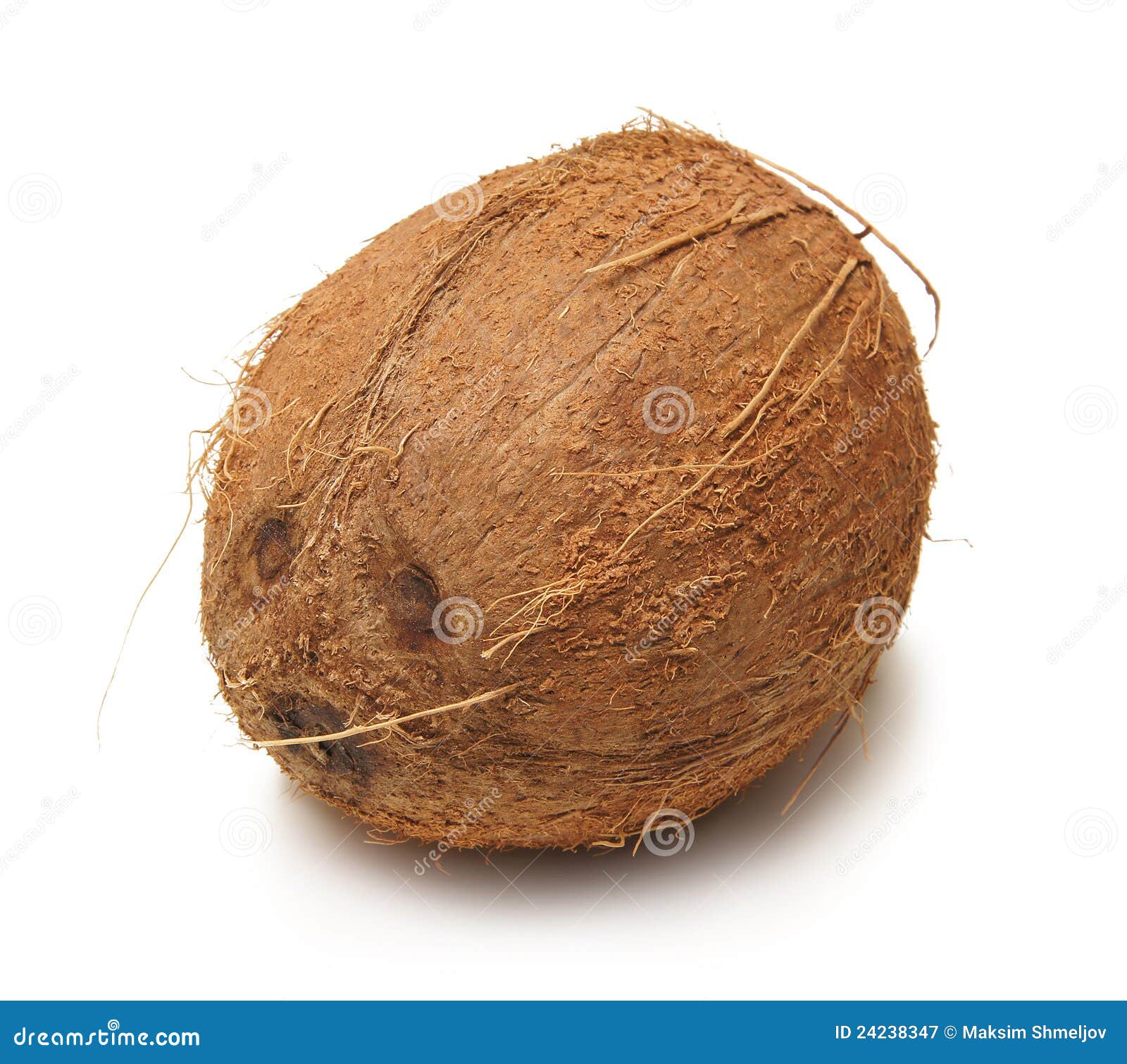 Um Coco Marrom Fresco Em Um Fundo Branco Imagem de Stock - Imagem de ...