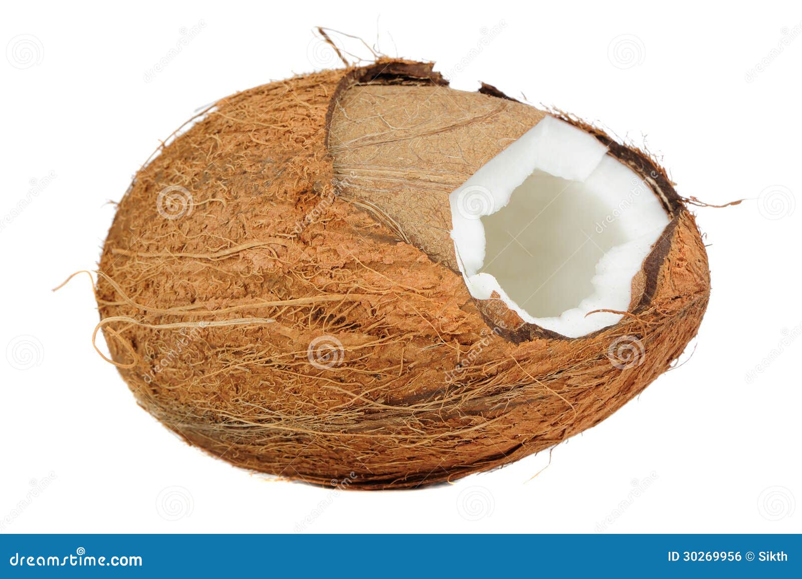 Coco Rachado Isolado No Fundo Branco Foto de Stock - Imagem de fresco ...