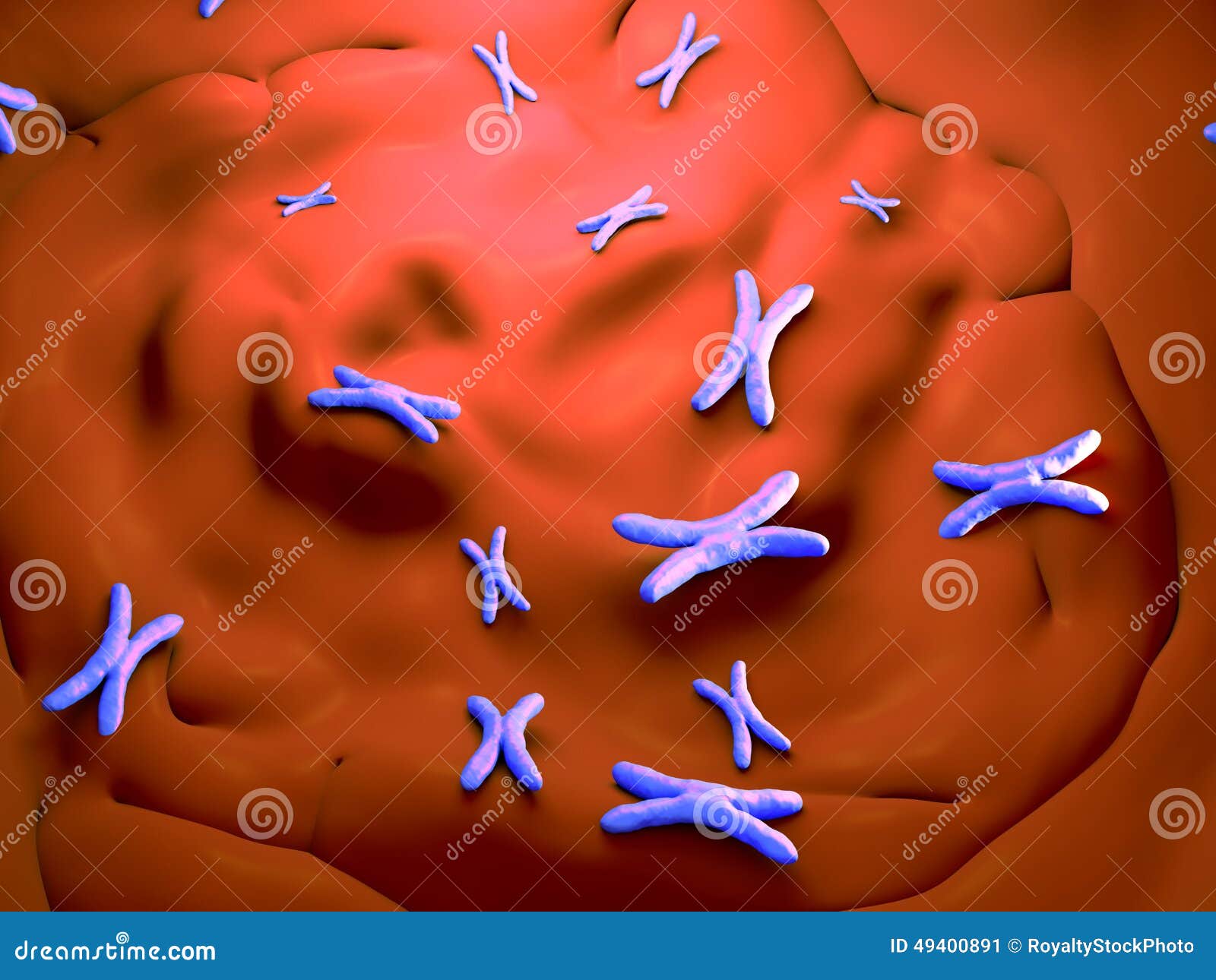 Um cromossoma humano ilustração stock. Ilustração de genética - 49400891