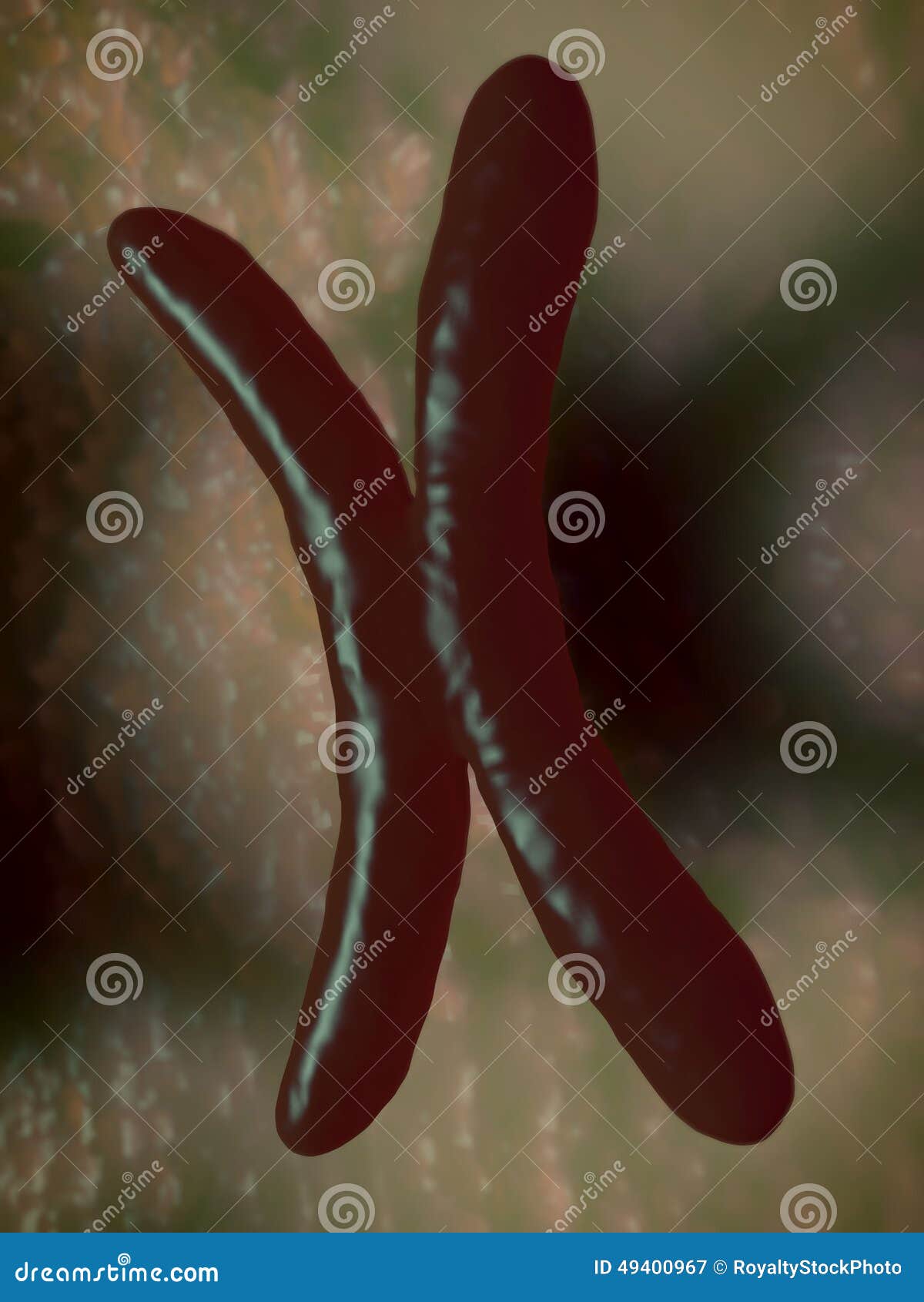 Um cromossoma humano ilustração stock. Ilustração de ciência - 49400967