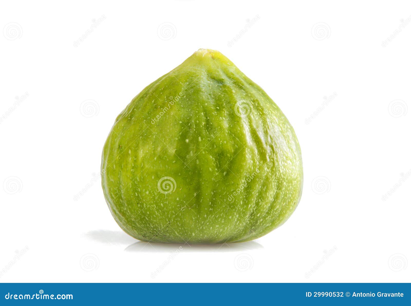 Figo no branco foto de stock. Imagem de jardim, suculento - 29990532