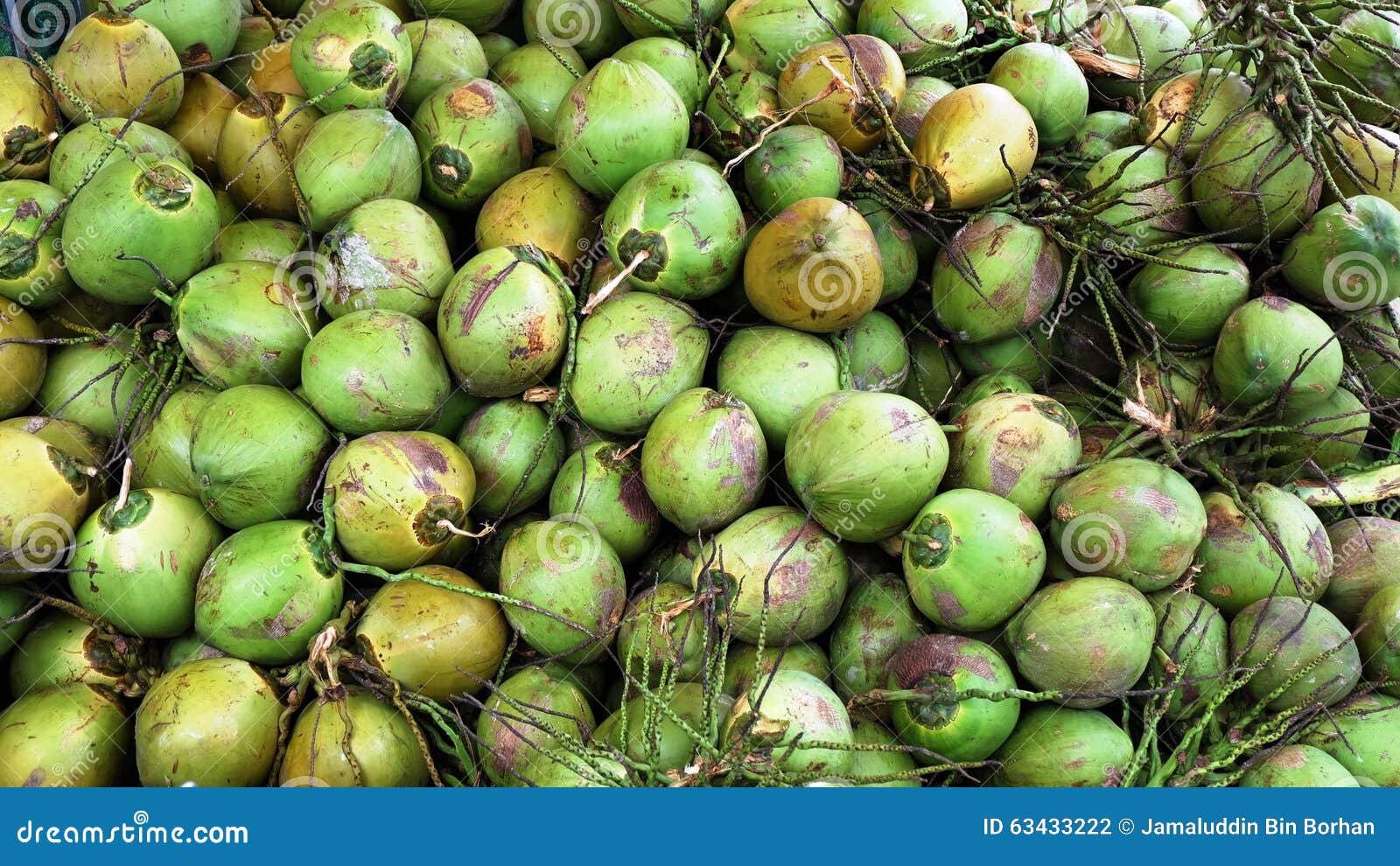 Um Grupo Do Coco Verde Novo Foto de Stock - Imagem de nave, coco: 63433222