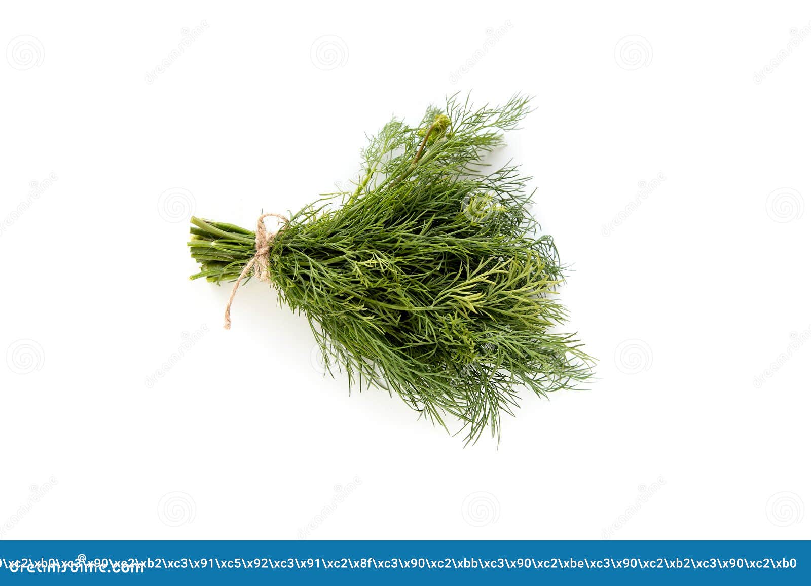 Um Monte De Folhas De Funcho Ou Funcho Imagem de Stock - Imagem de ...