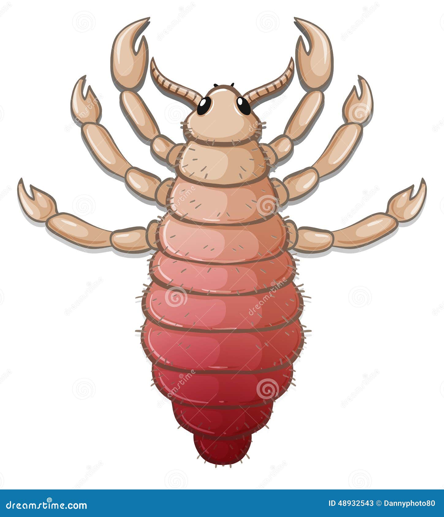 Um piolho ilustração do vetor. Ilustração de cartoon - 48932543