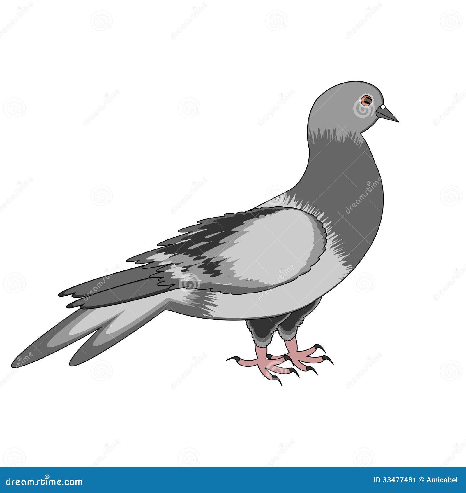 Um Pombo Em Um Fundo Branco Ilustração do Vetor - Ilustração de ...