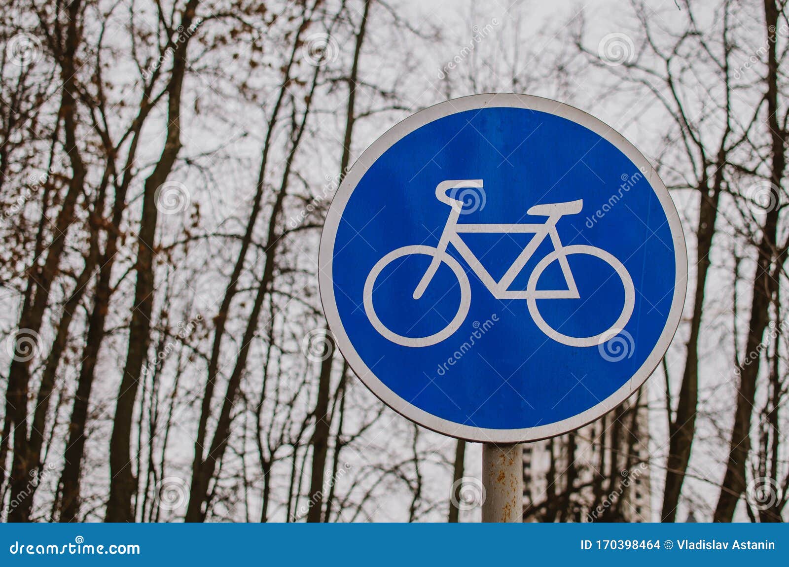 Um Sinal Azul De Bicicleta Que Significa Um Caminho De Bicicleta Foto ...