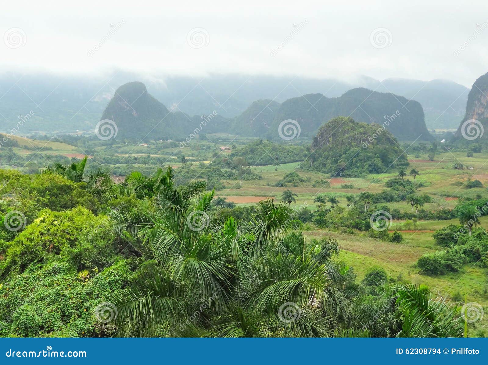 Um Vinales-Tal in Kuba stockfoto. Bild von botanik, landschaft - 62308794