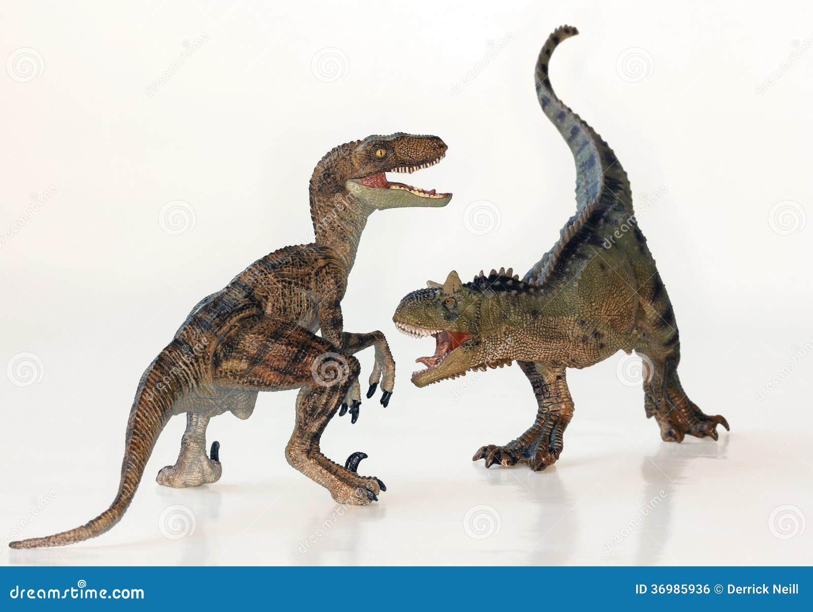 Uma Batalha Entre Um Carnotaurus E Um Velociraptor Foto de Stock ...