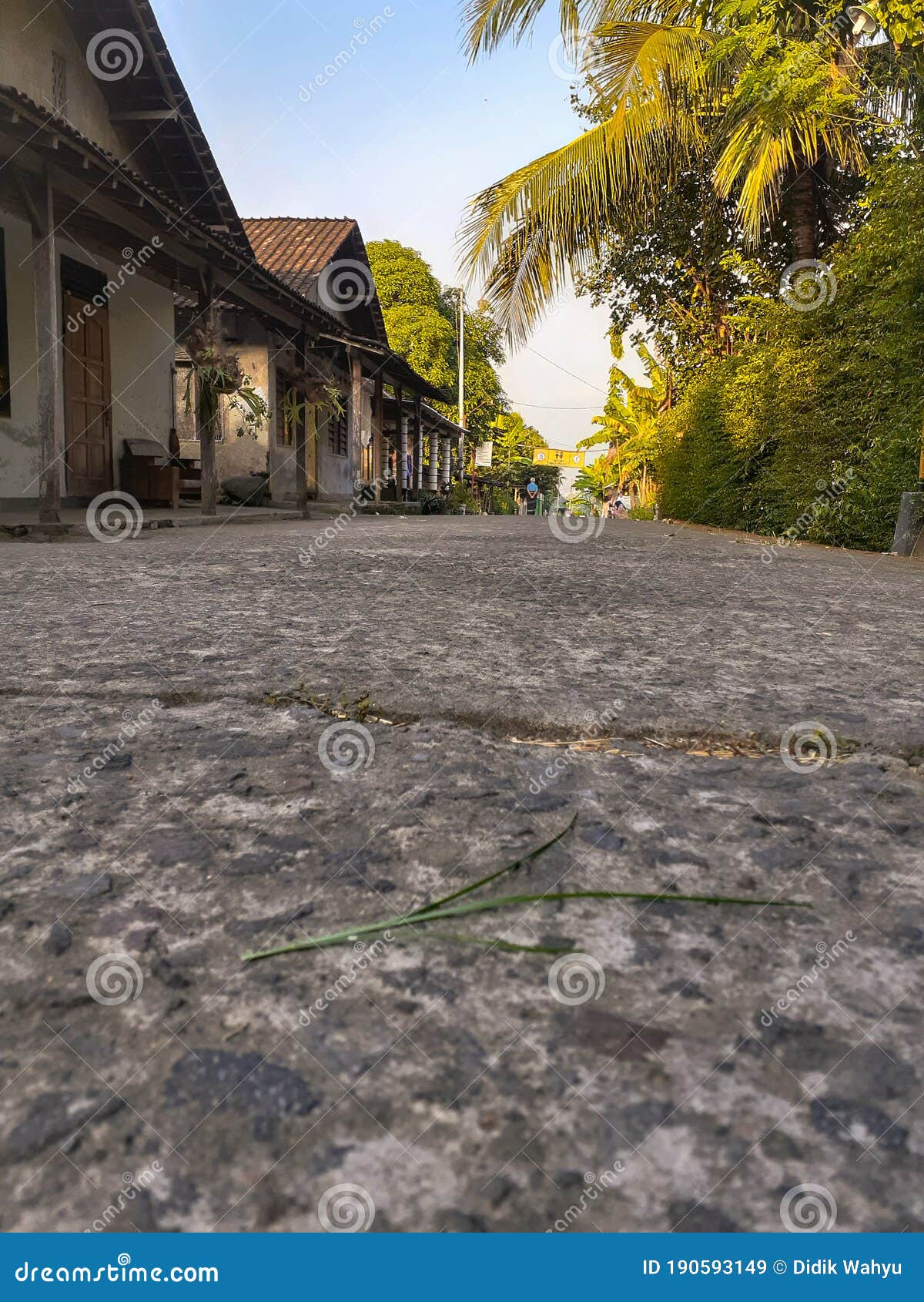 Uma Estrada Da Aldeia E Uma Folha Desfocada De Kolonjono Na Estrada ...
