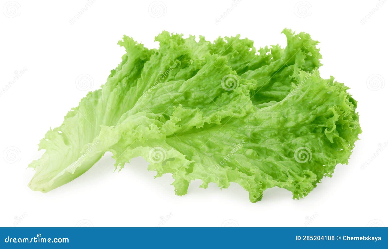 Uma Folha De Alface Verde Isolada Em Branco. Salada Foto de Stock ...