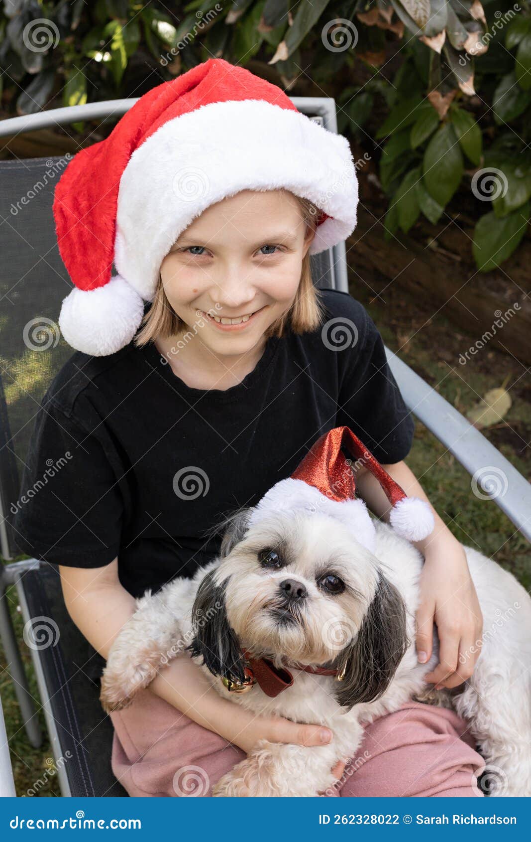 Uma Menina Australiana Segurando Um Cachorro No Natal Foto de Stock ... Uma Menina Australiana Segurando Um Cachorro No Natal Foto de Stock ...