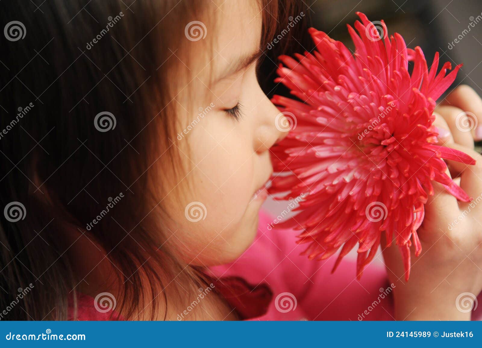 Uma menina com uma flor imagem de stock. Imagem de infância - 24145989