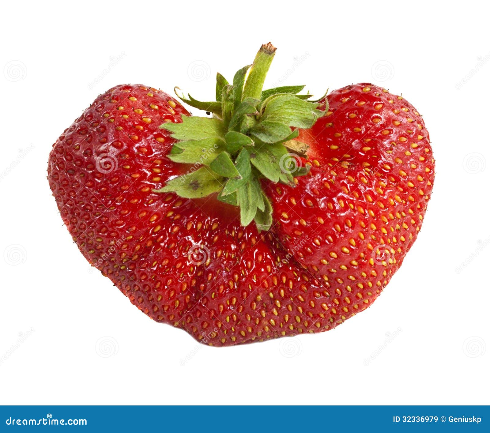 Uma morango grande imagem de stock. Imagem de brilhante - 32336979