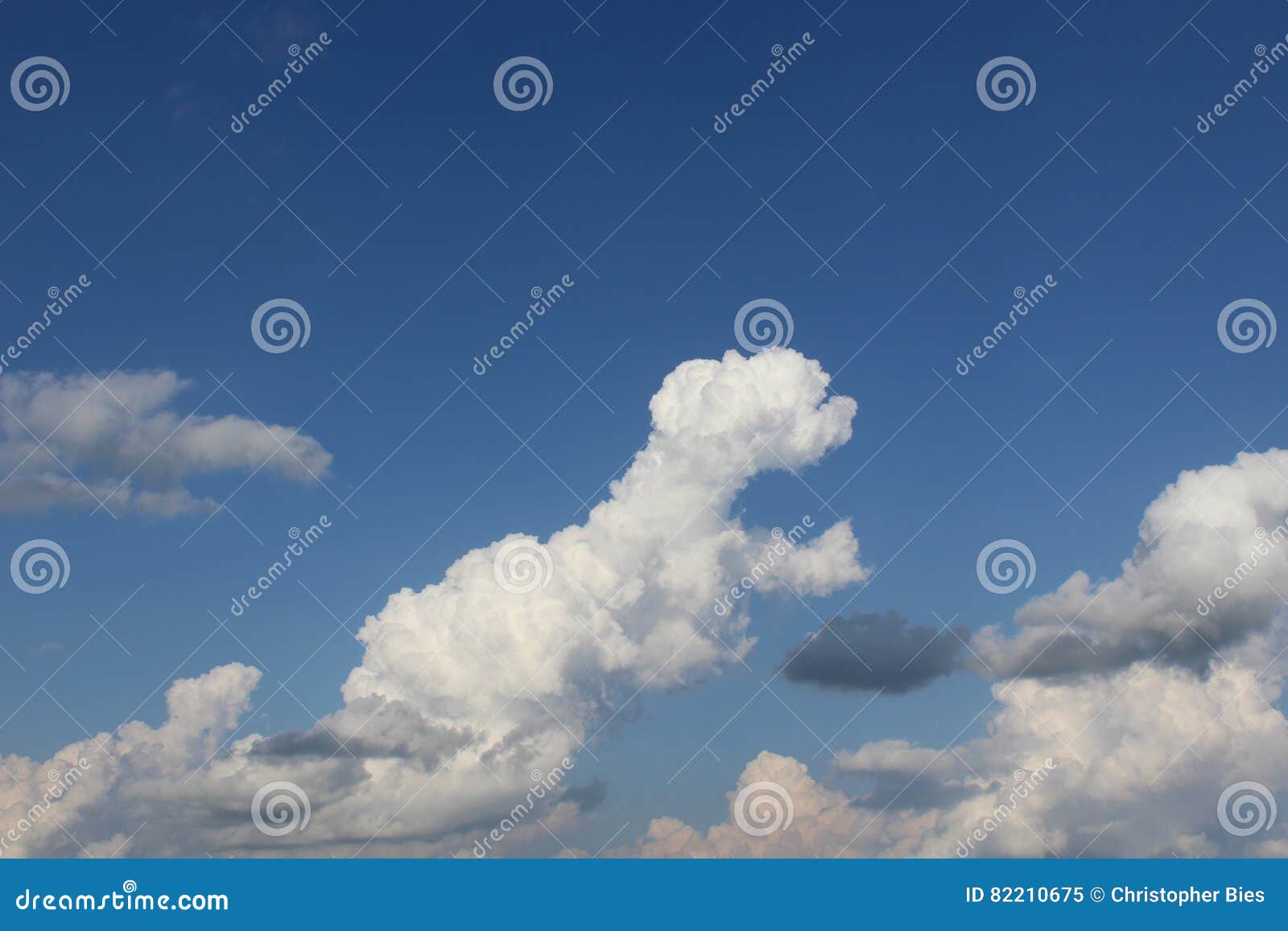 Uma Nuvem Na Forma De Um Cão Imagem de Stock - Imagem de enorme, céu ...