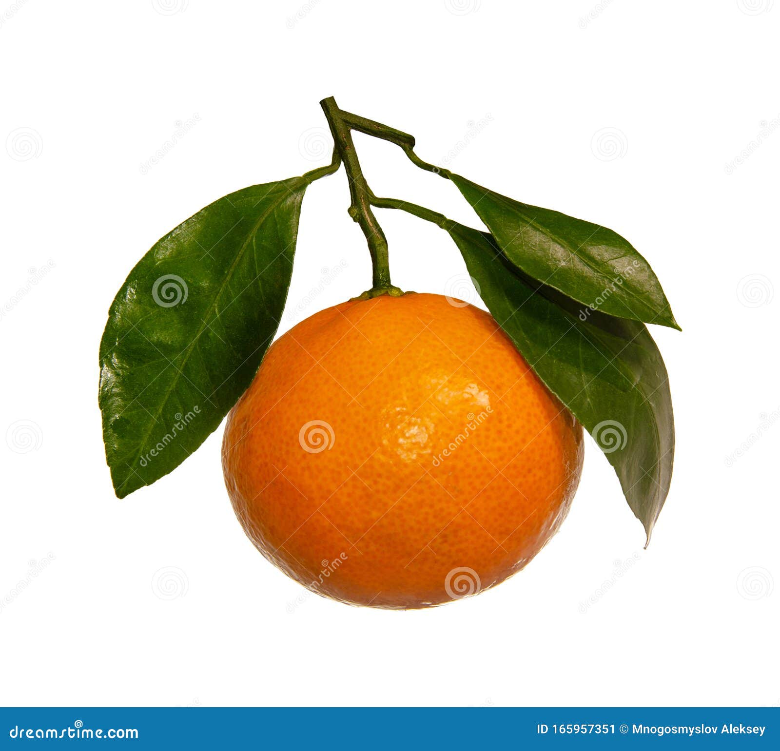 Uma tangerina isolada imagem de stock. Imagem de recorte - 165957351