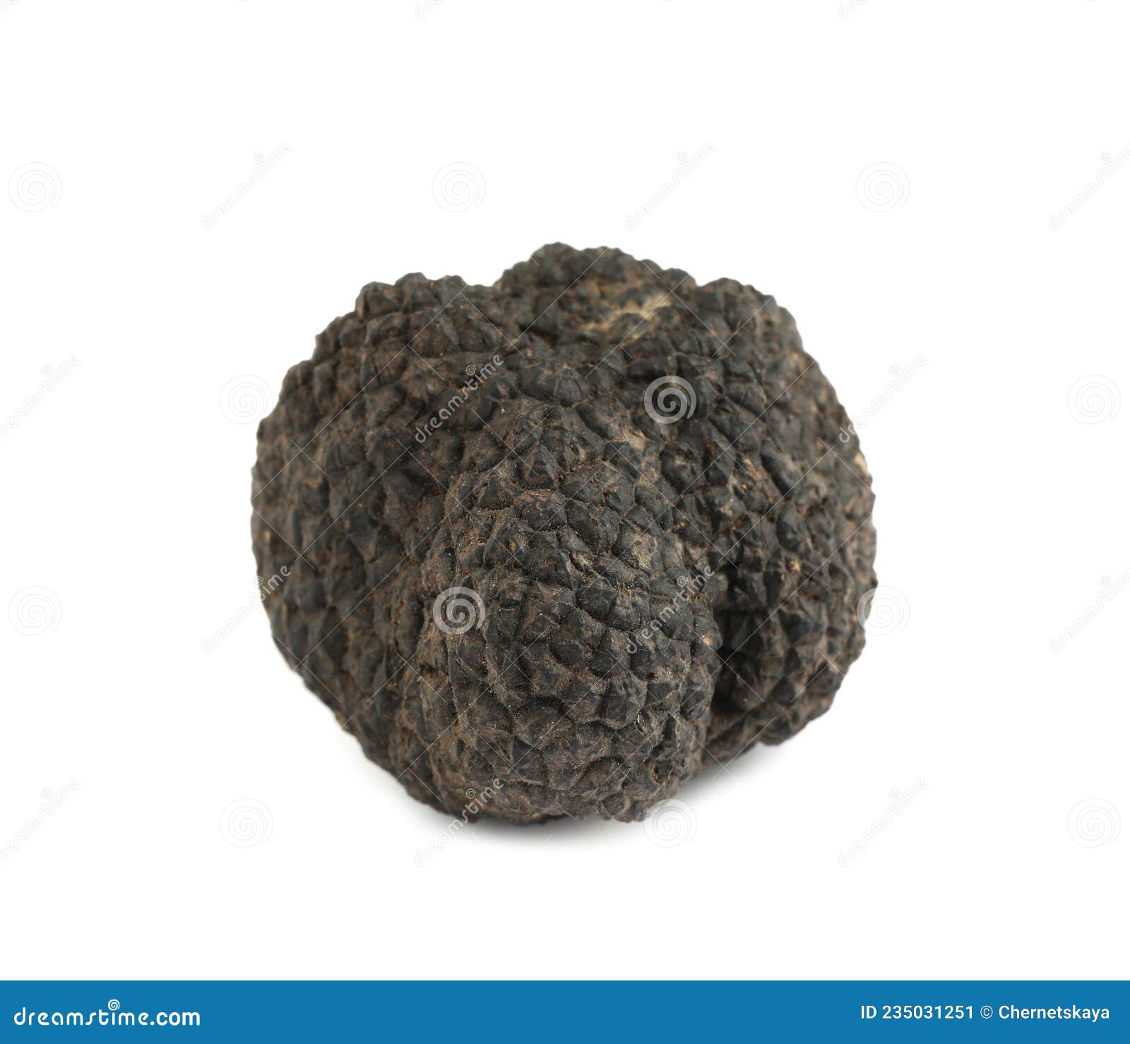 Uma Trufa Preta Inteira Isolada Em Branco Imagem de Stock - Imagem de ...