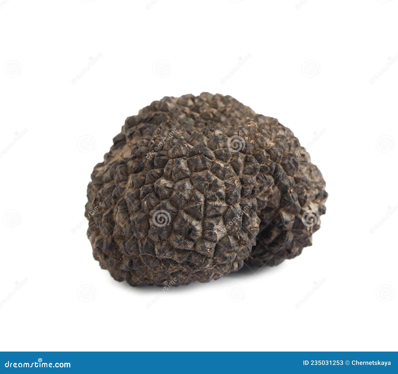 Uma Trufa Preta Inteira Isolada Em Branco Imagem de Stock - Imagem de ...