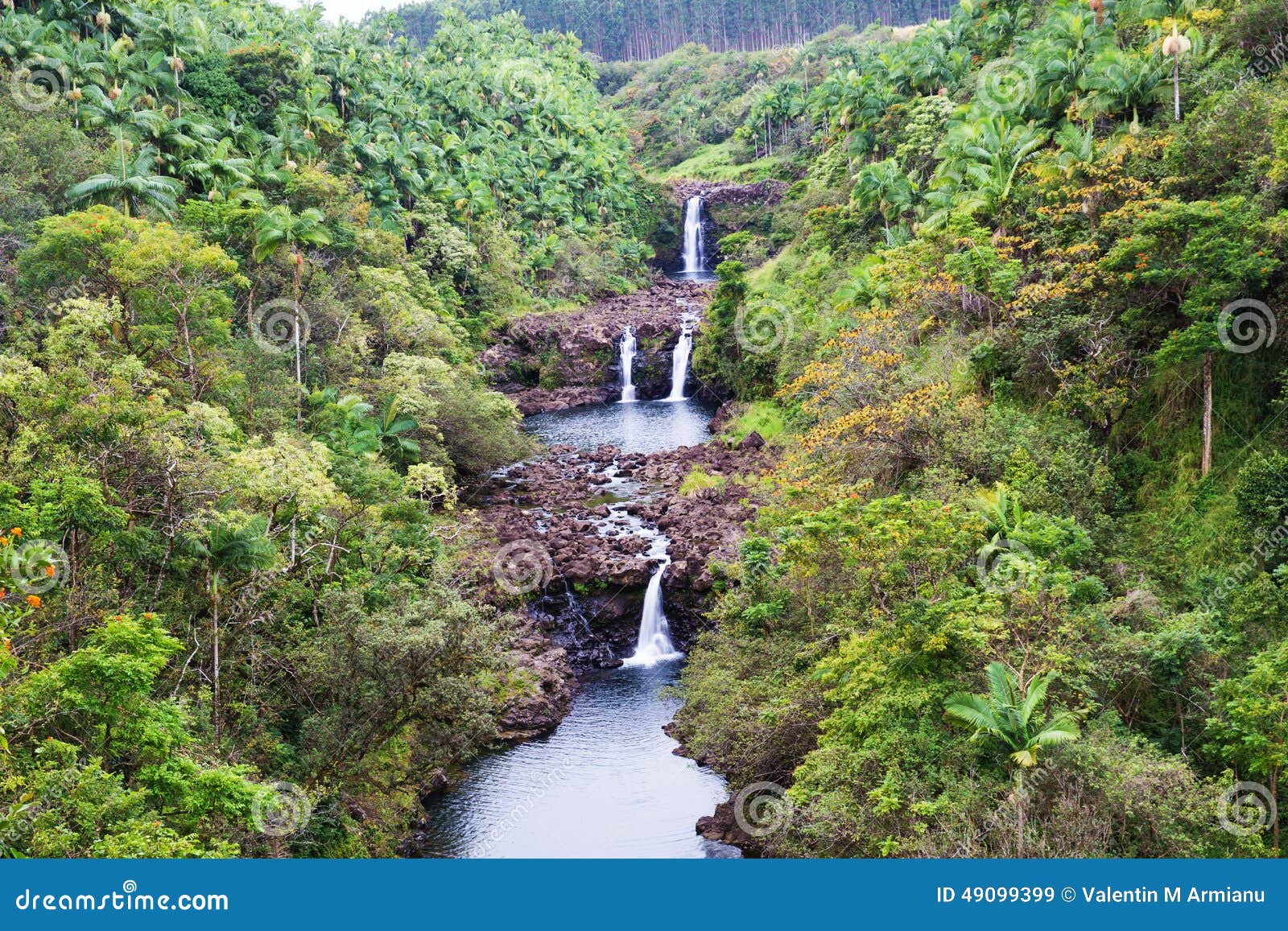 Umauma Falls stock image. Image of scenery, beautiful - 49099399