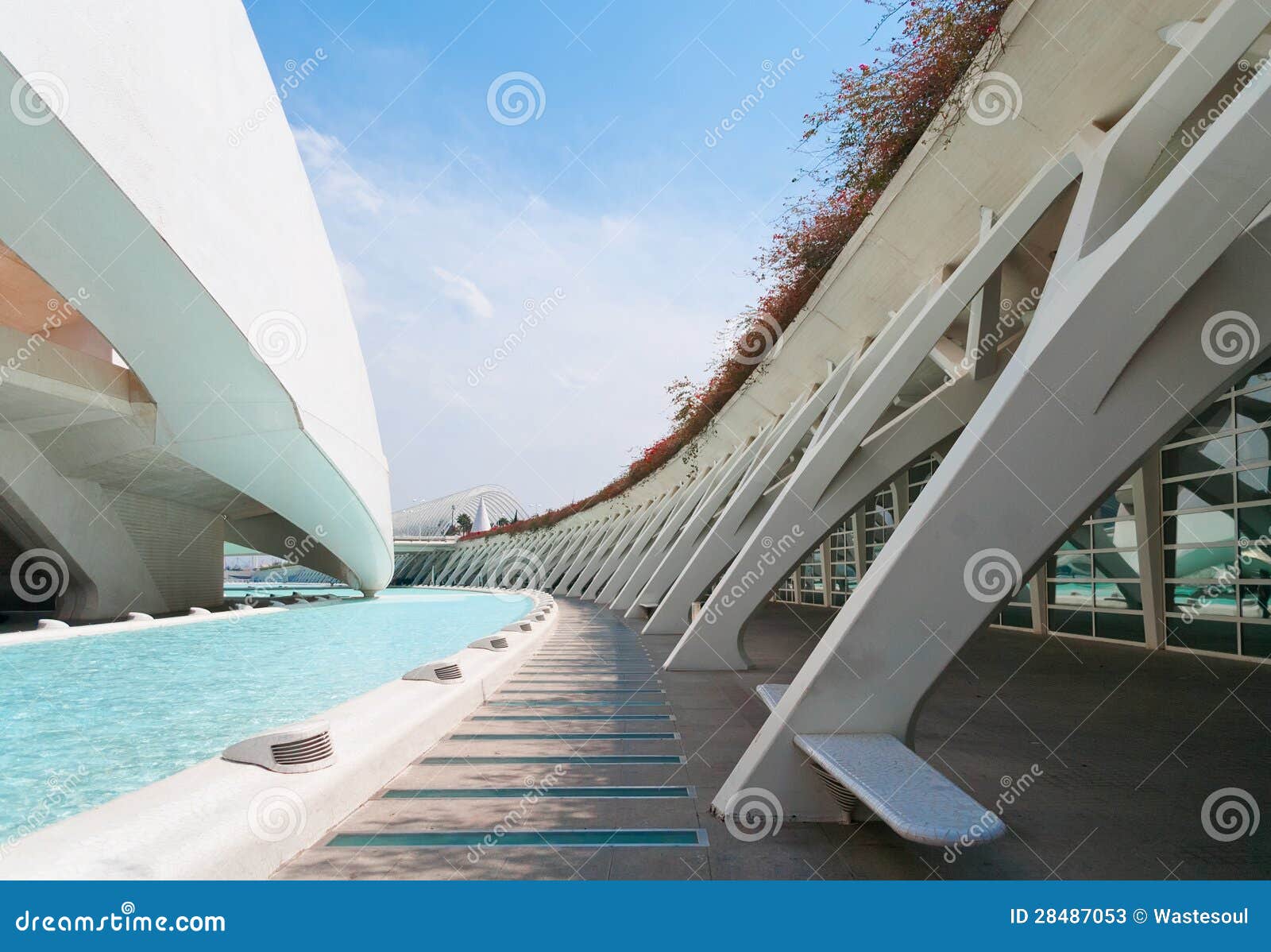 Umbracle photo stock éditorial. Image du étang, musée - 28487053