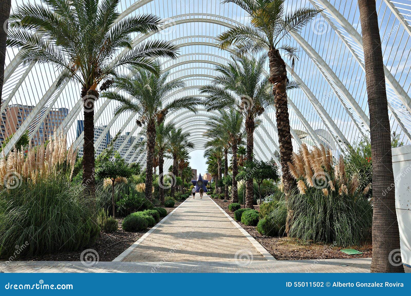 Umbracle editorial photography. Image of colors, plants - 55011502