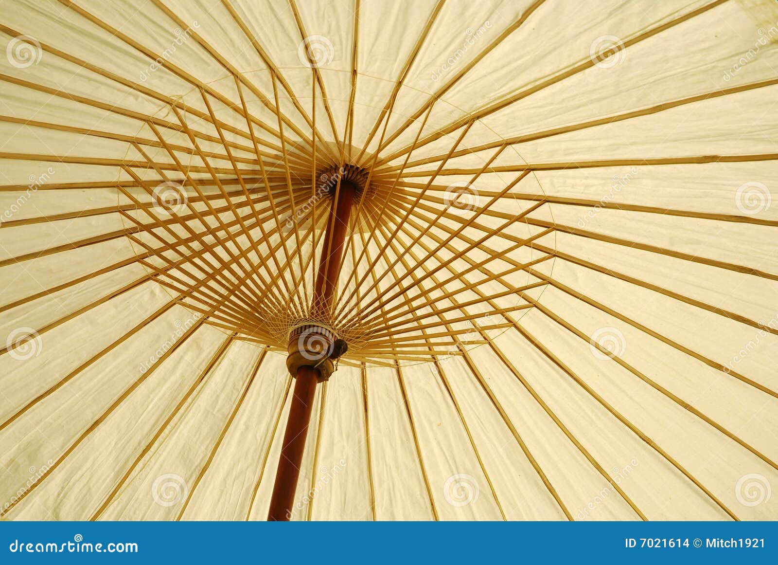 Umbrella stock photo. Image of design, fabric, closed - 7021614