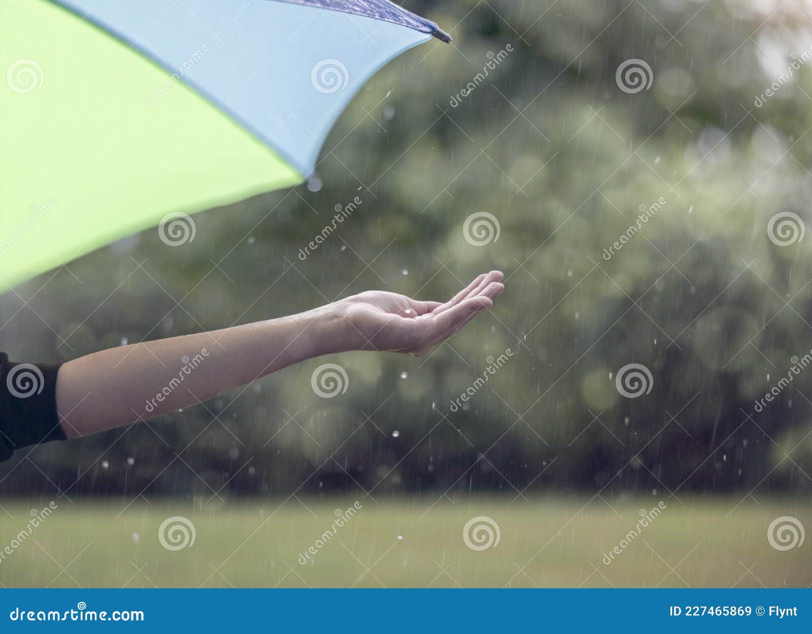 Umbrella and Catching Rain Drops in Nature Background Stock Image ...