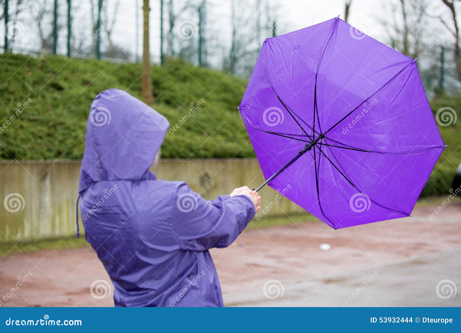 Umbrella fight in the wind stock photo. Image of strong - 53932444