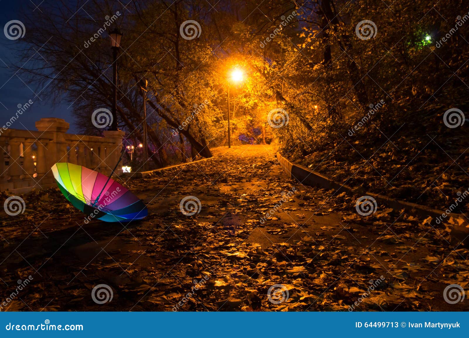 Umbrella in the Night Autumn Park Stock Image - Image of beauty, leaf ...