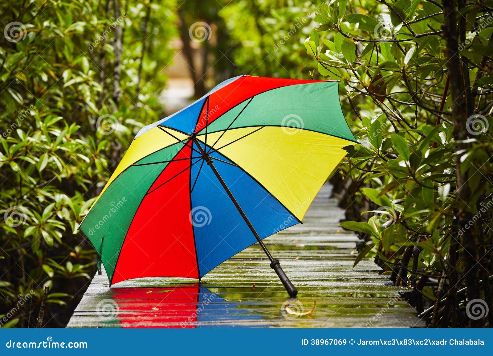 Umbrella in rain stock image. Image of downpour, color - 38967069