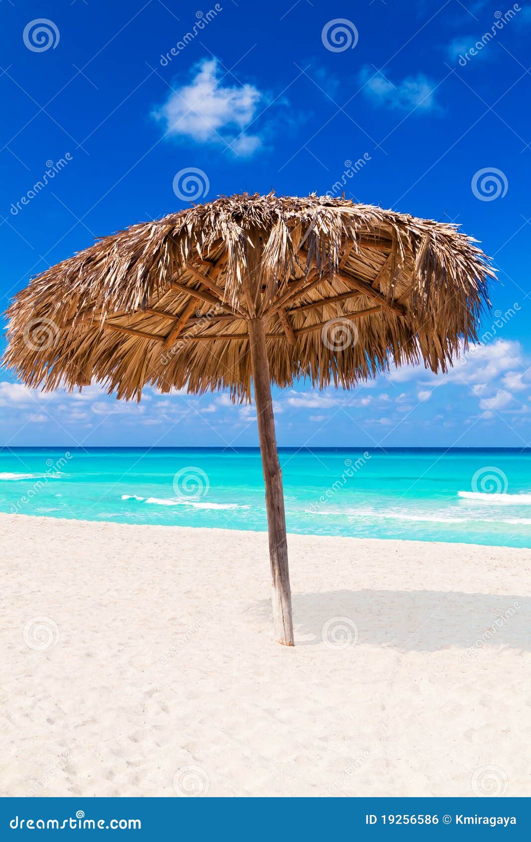 Umbrella on a Sandy Tropical Beach Stock Photo - Image of holiday ...