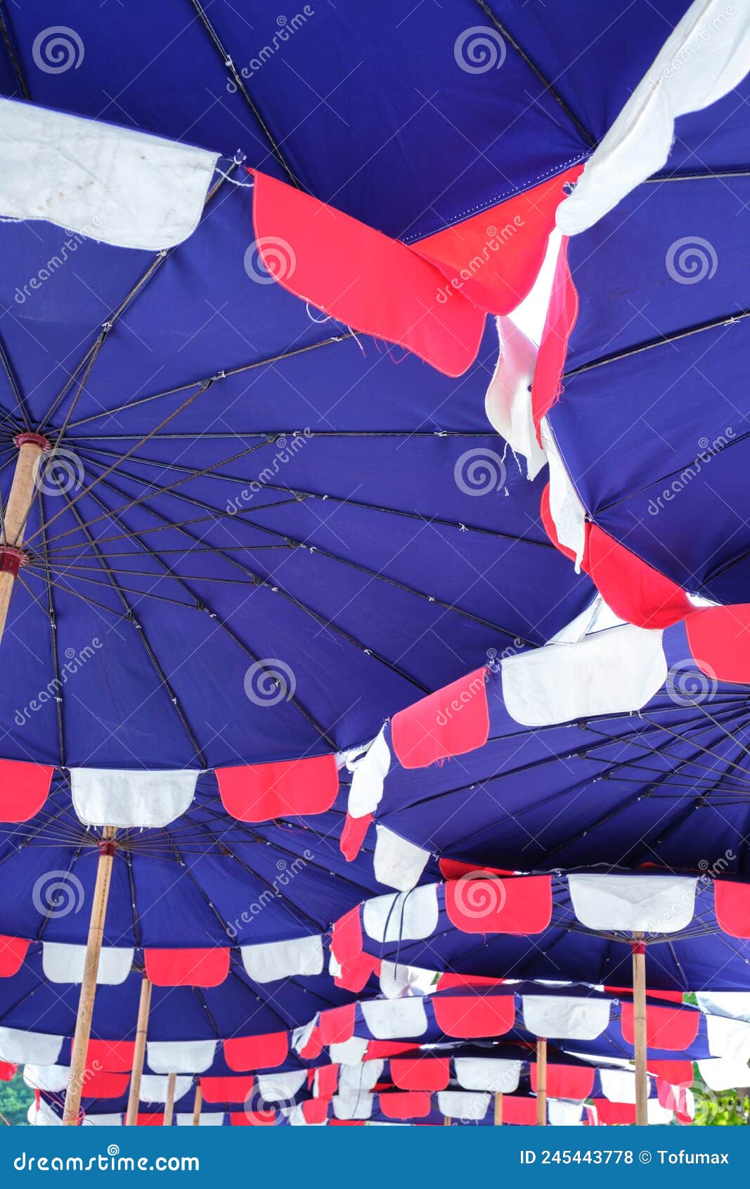 Umbrella texture stock photo. Image of holiday, umbrella - 245443778