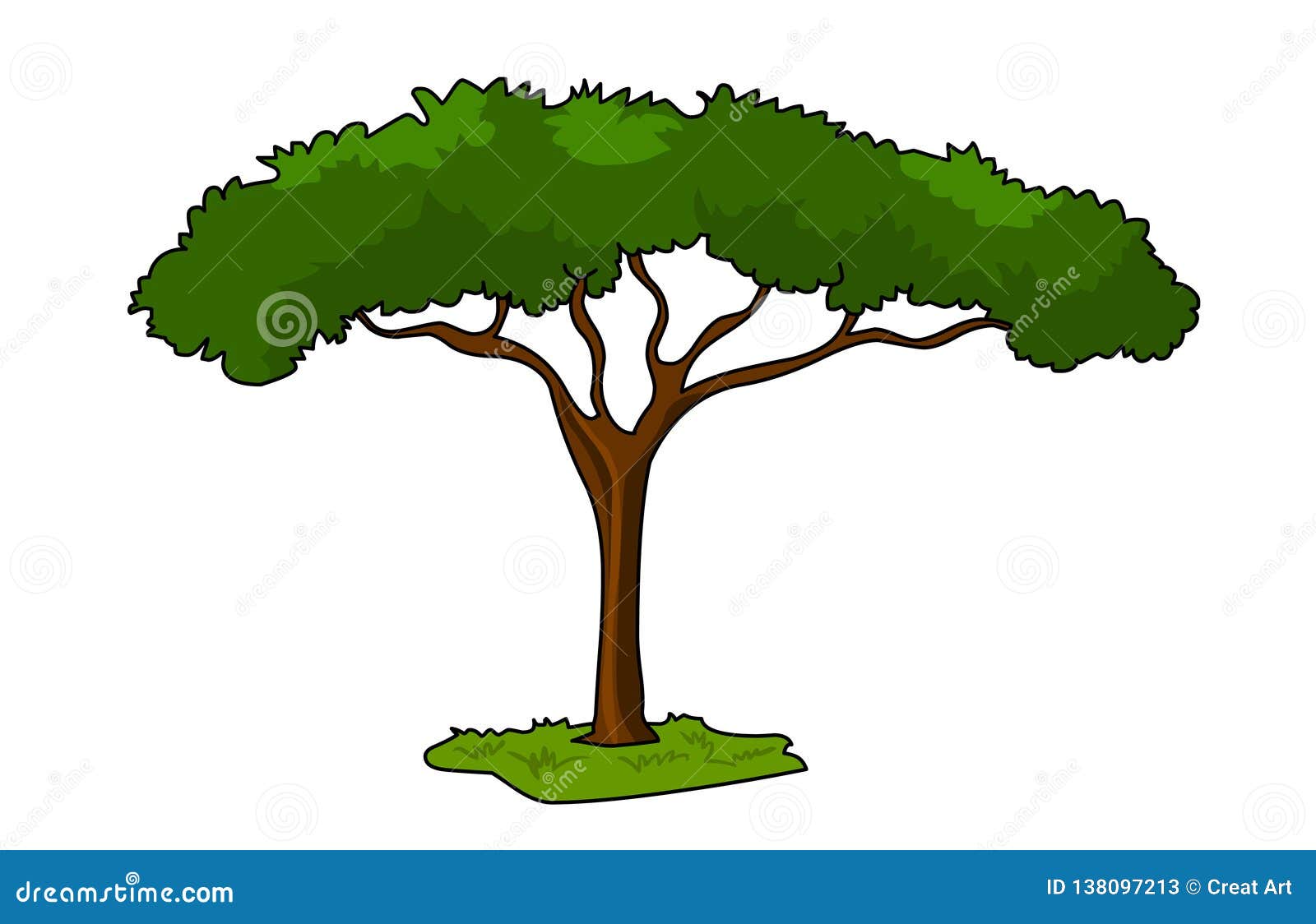 Umbrella Thorn Acacia Tree Vector Illustration Stock Vector ... Umbrella Thorn Acacia Tree Vector Illustration Stock Vector ...