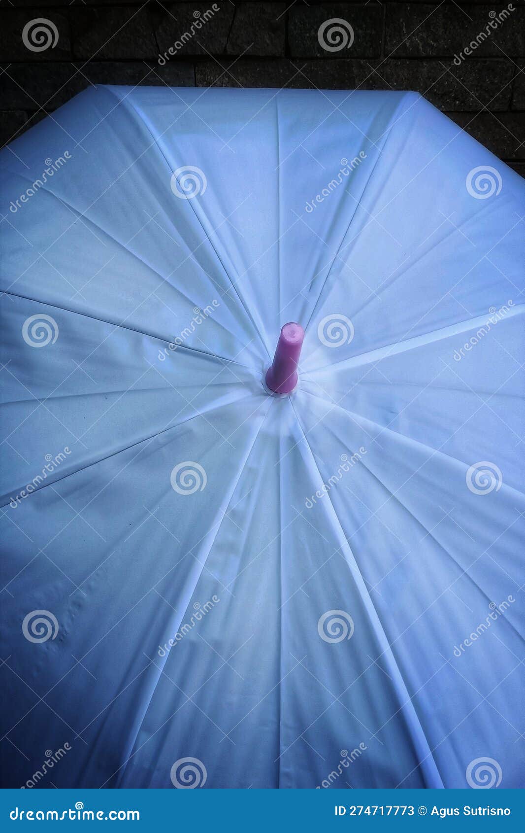 An Umbrella with a Unique Color of Pastel Blue is Very Attractive ...