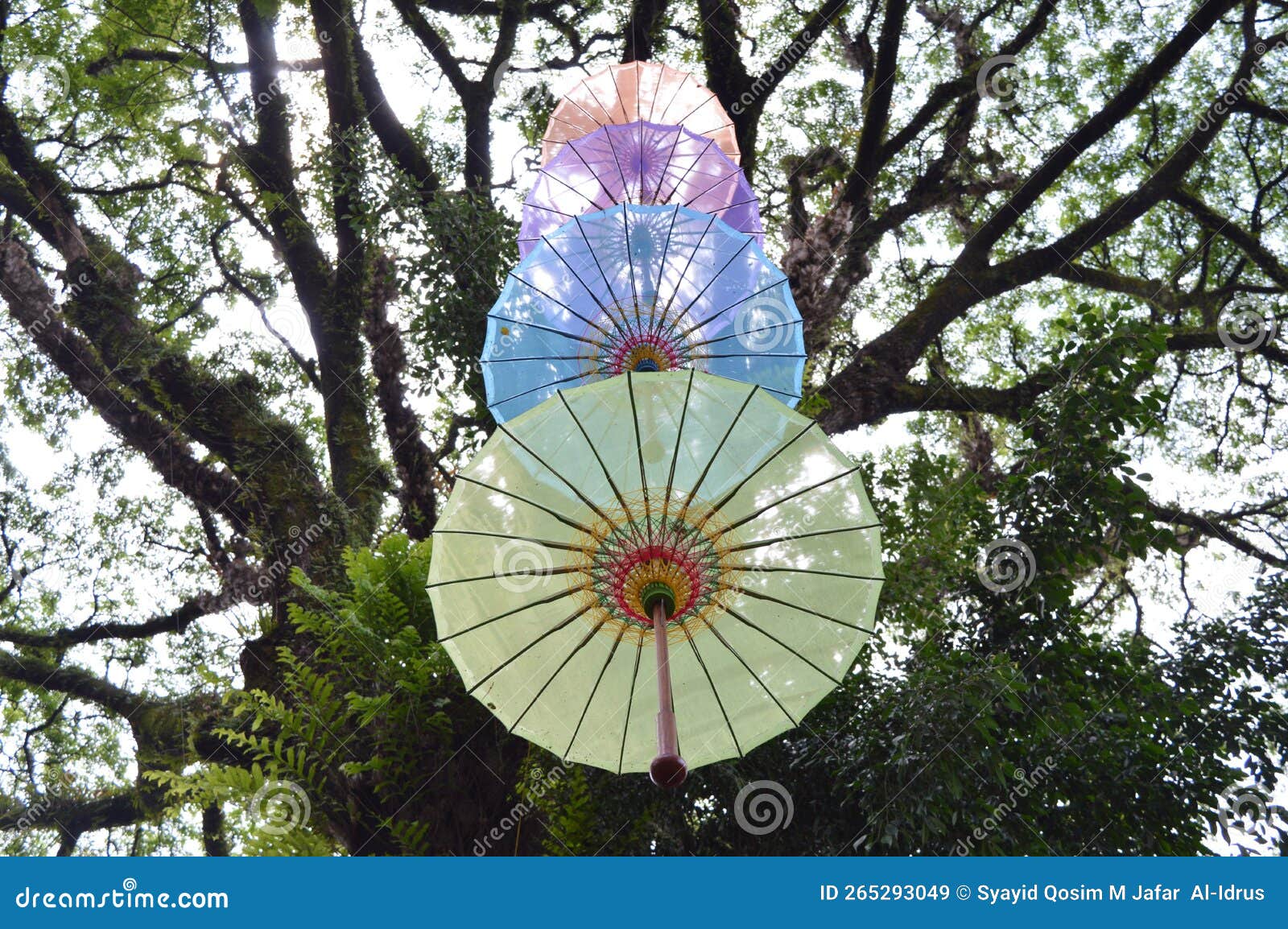 Umbrellas Full of Color and Shade Trees Stock Image - Image of symmetry ...