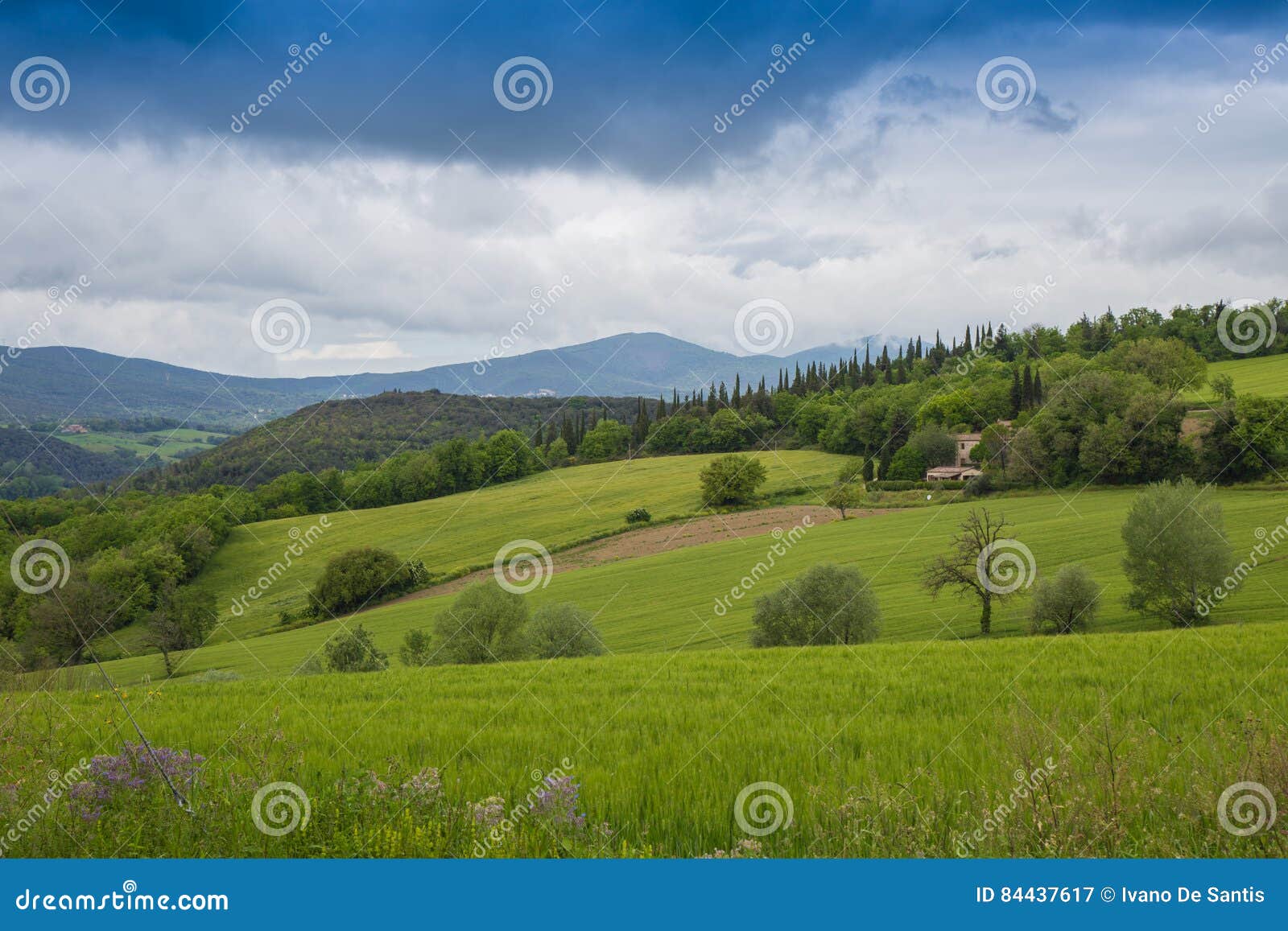 Umbrian countryside stock image. Image of hills, arable - 84437617