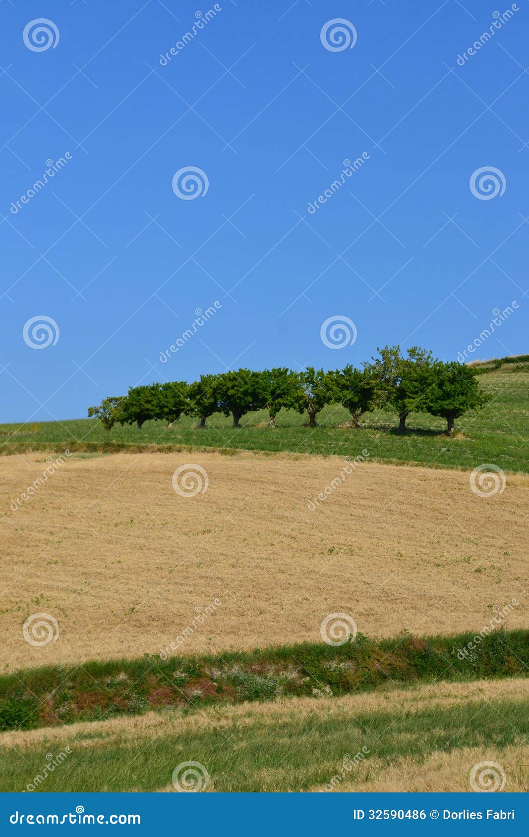 Umbrian landscape stock photo. Image of trees, umbria - 32590486