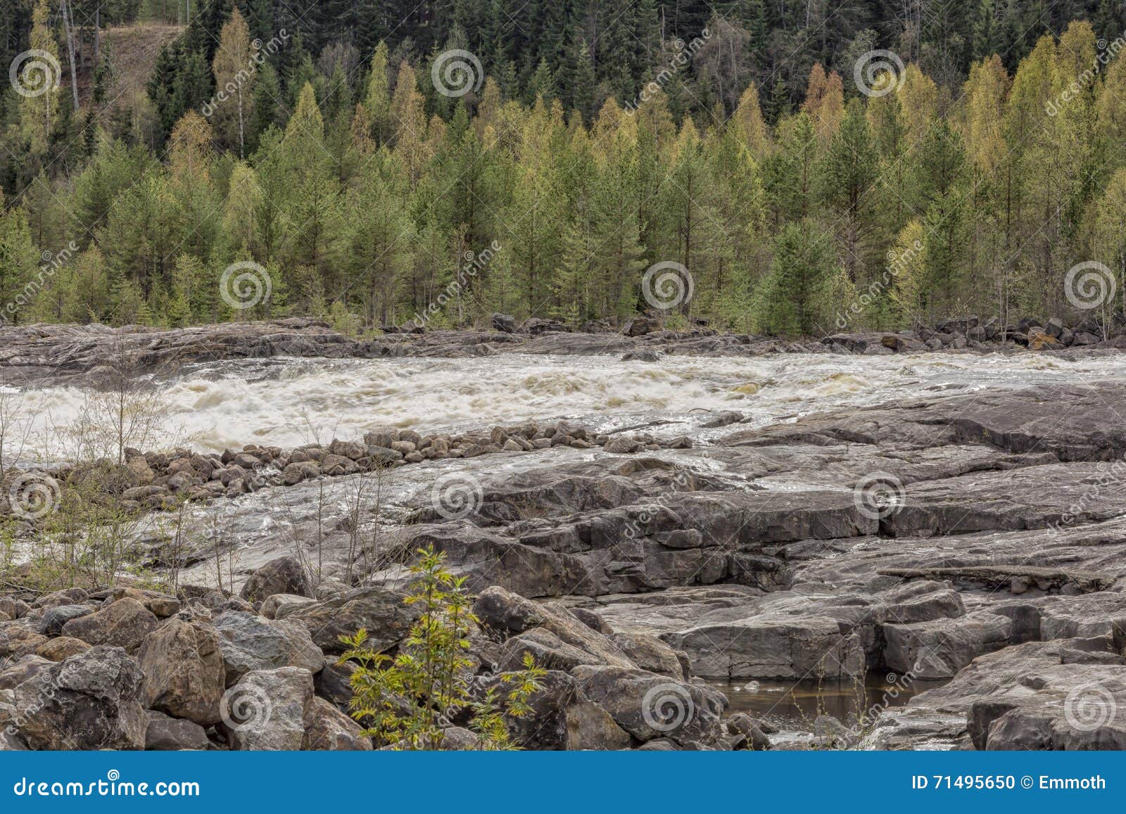 Umea River in Baggbole, Sweden Stock Photo - Image of nature, stone ...