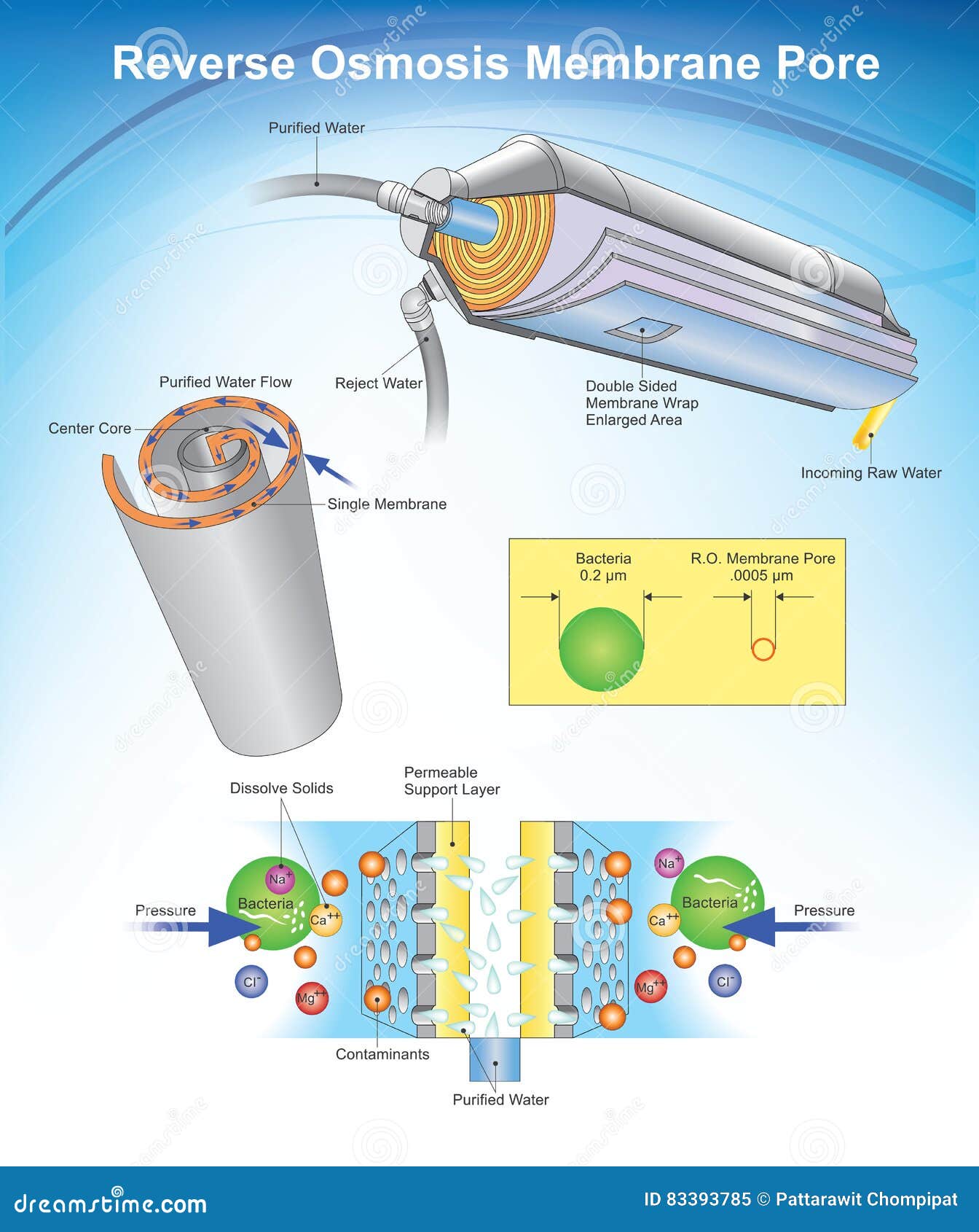 Umkehr-Osmose vektor abbildung. Illustration von getränk - 83393785