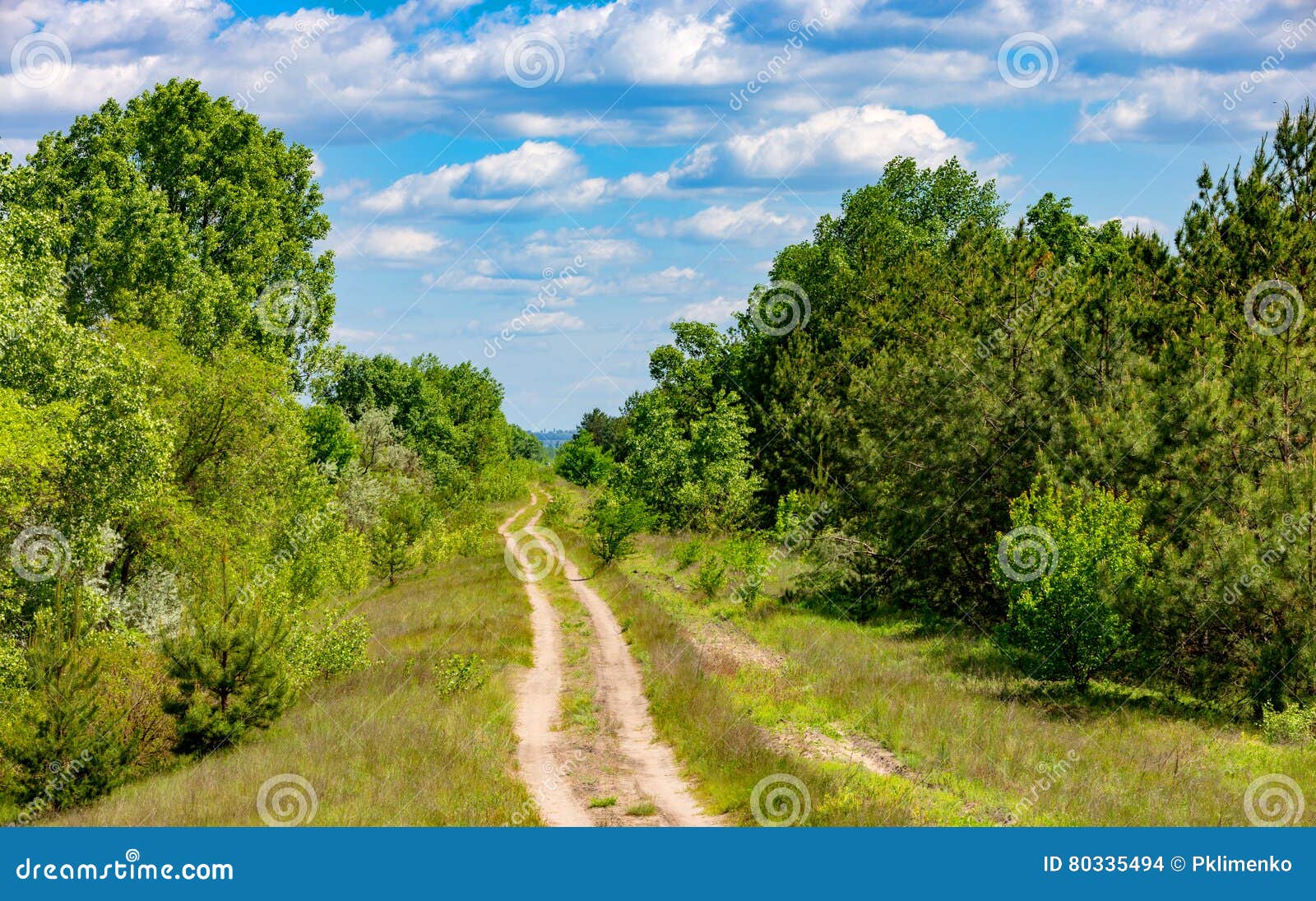 Ummer Landscape with Rut Road in Forest Stock Photo - Image of clouds ...