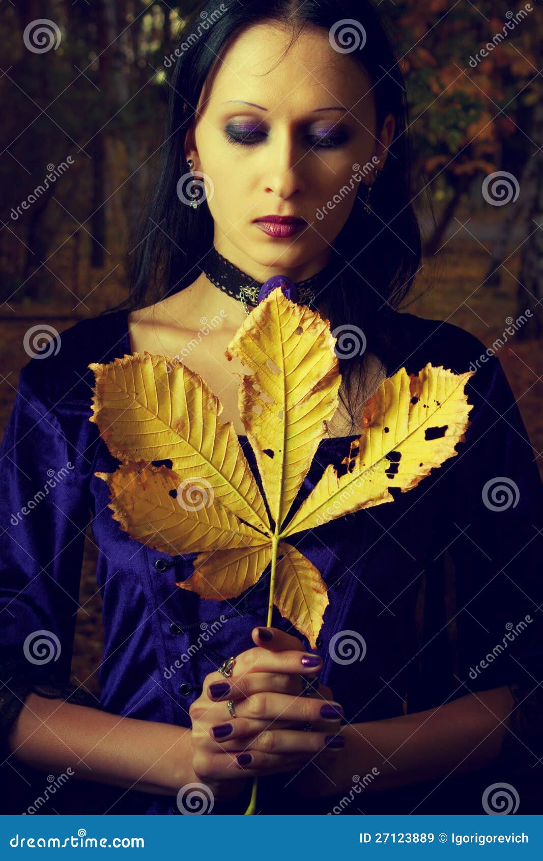 Umore di ottobre immagine stock. Immagine di foresta - 27123889