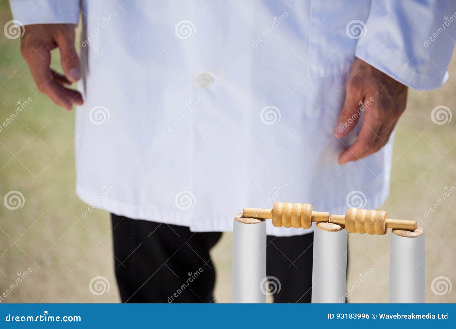 Umpire Standing by Cricket Stump at Match Stock Photo - Image of sports ...