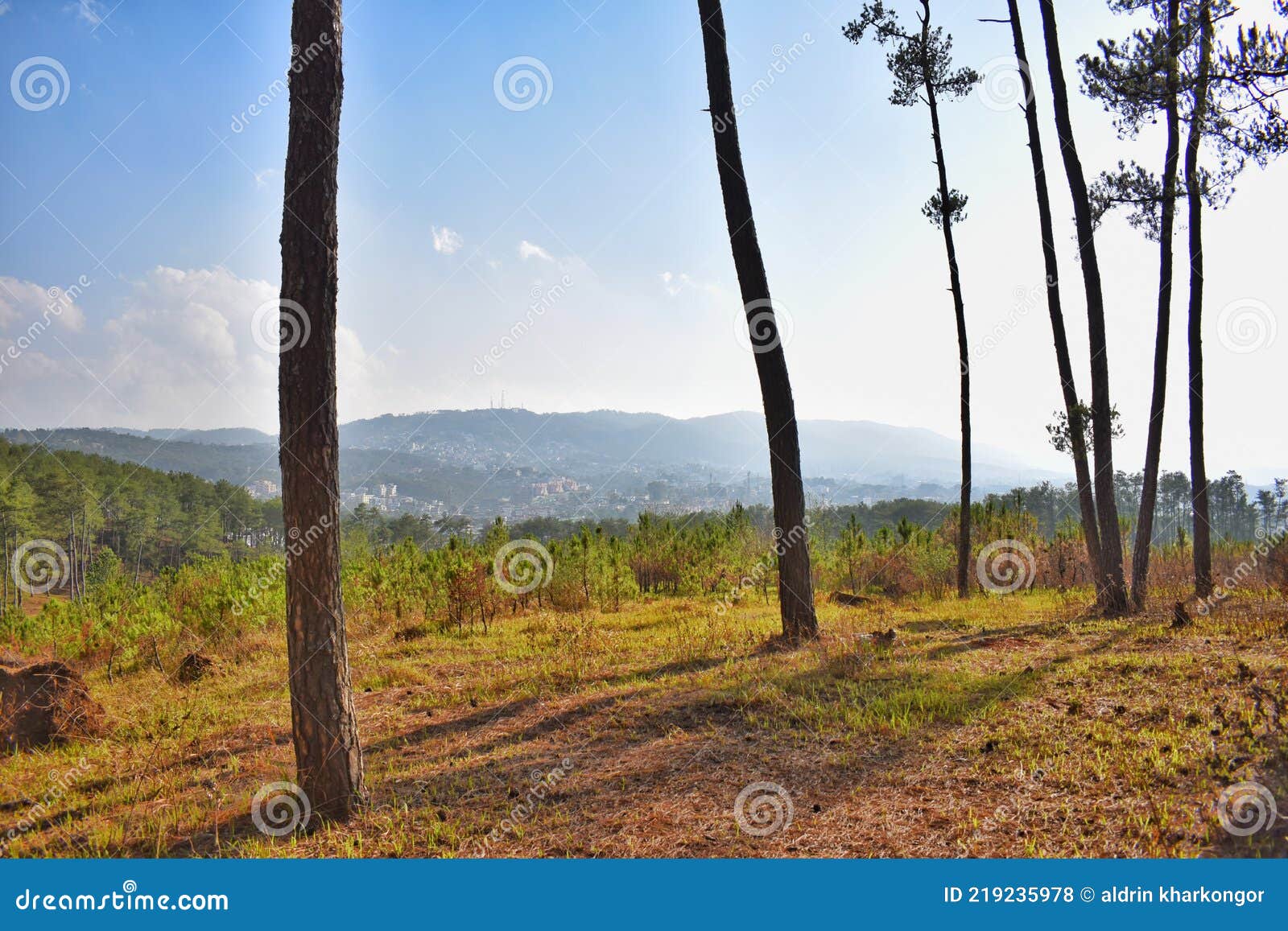 Umpling Stock Photos - Free & Royalty-Free Stock Photos from Dreamstime