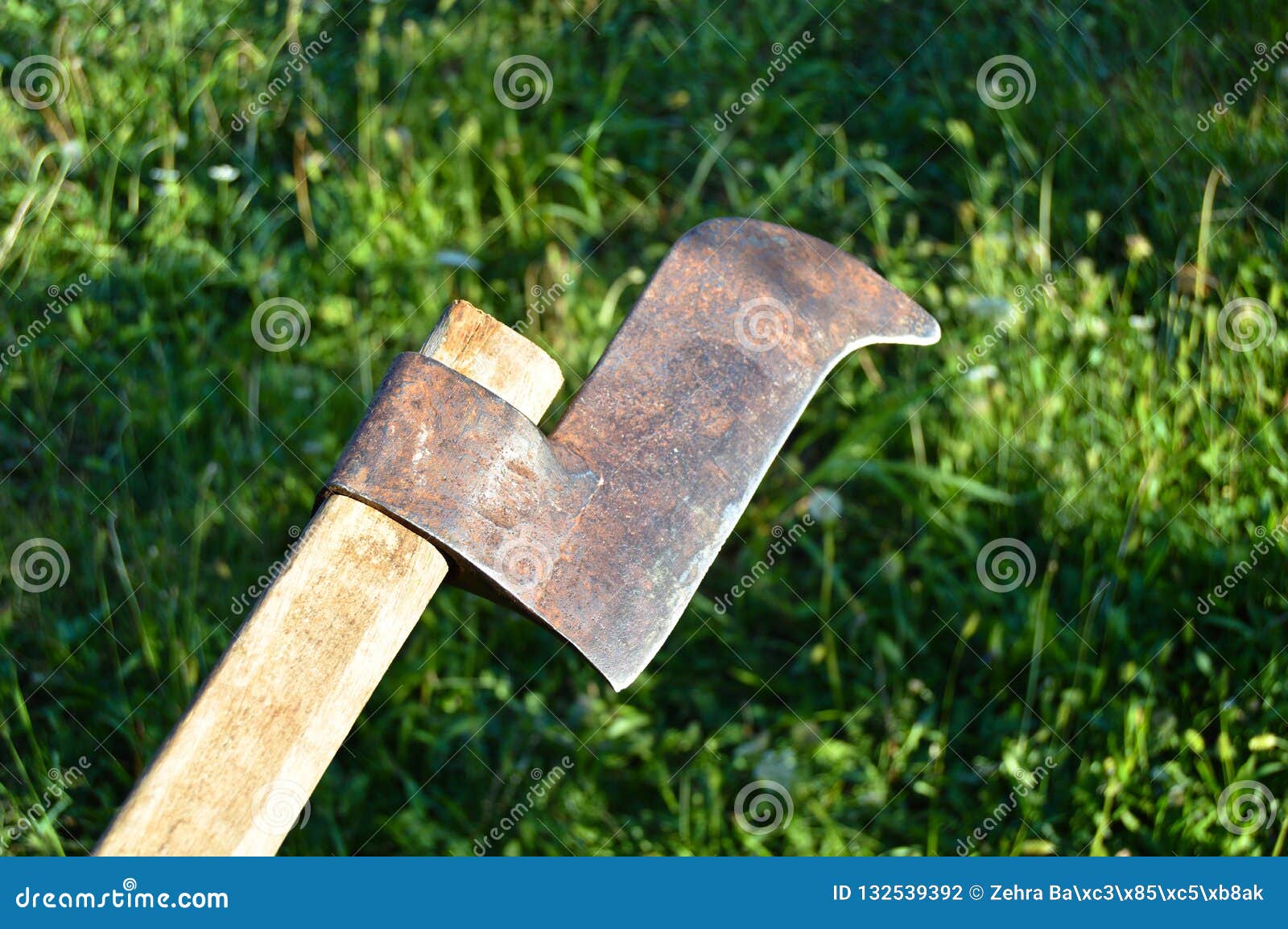 Un'ascia Utilizzata Per Tagliare I Rami Sottili Fotografia Stock ...