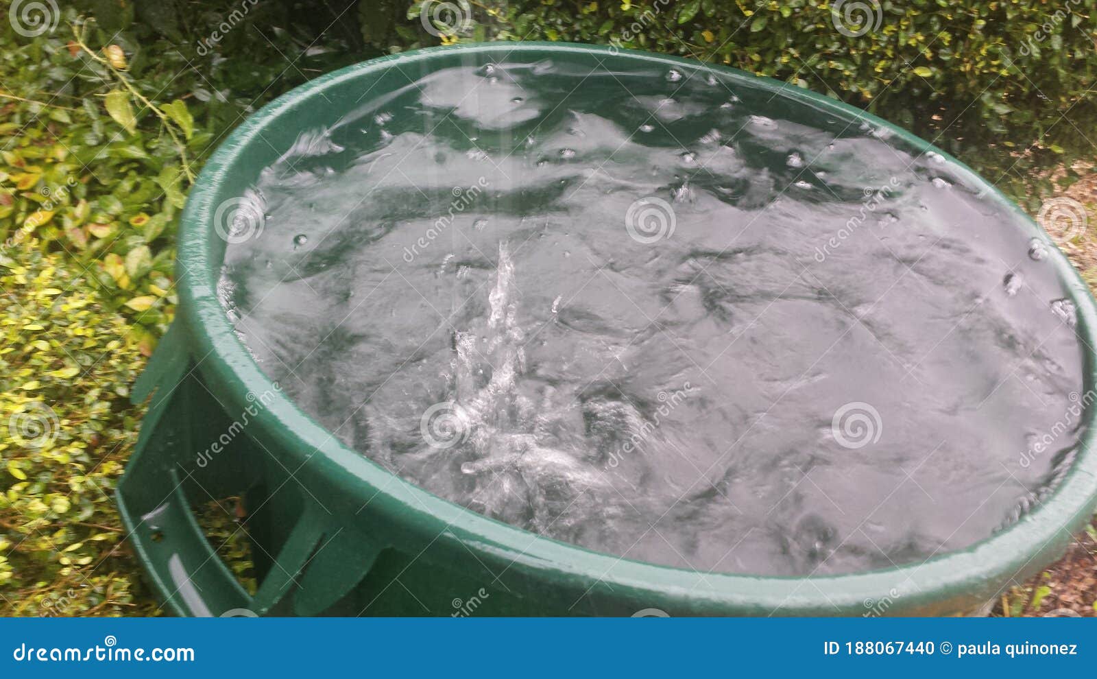 Un Balde Lleno De Agua De Lluvia Foto de archivo - Imagen de lloviendo ...