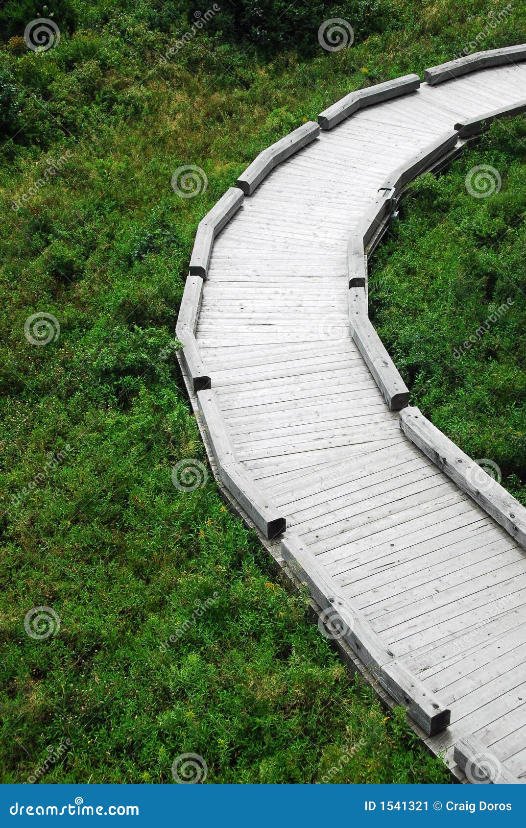 Un camino curvado imagen de archivo. Imagen de curvatura - 1541321