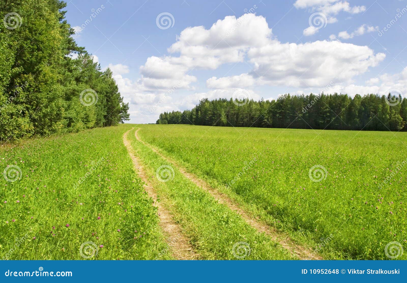Un Camino Rural En El Campo Foto de archivo - Imagen de celaje ...