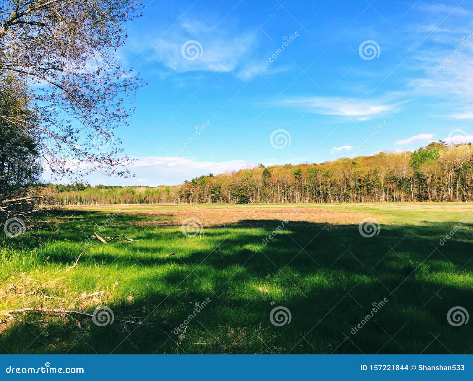 Un Campo Abierto En Boothbay Foto de archivo - Imagen de bosque, hierba: 157221844