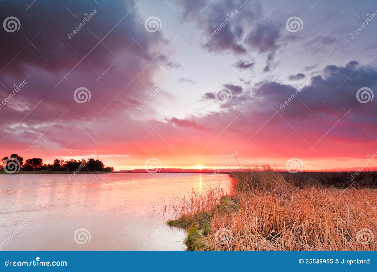 Un claro imagen de archivo. Imagen de conservar, isla - 25539955